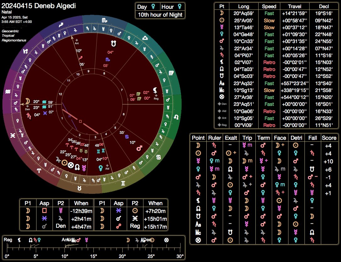 Fixed Star Deneb Algedi: Security & Order – Chalcedony Pendant Talisman ...